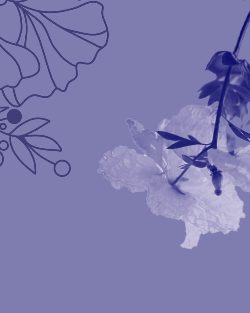 The OCD Clinic at The Neurodivergent Collective - The Neurodivergent Collective