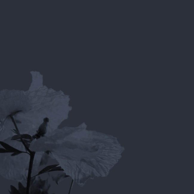 The Neurodivergent Collective