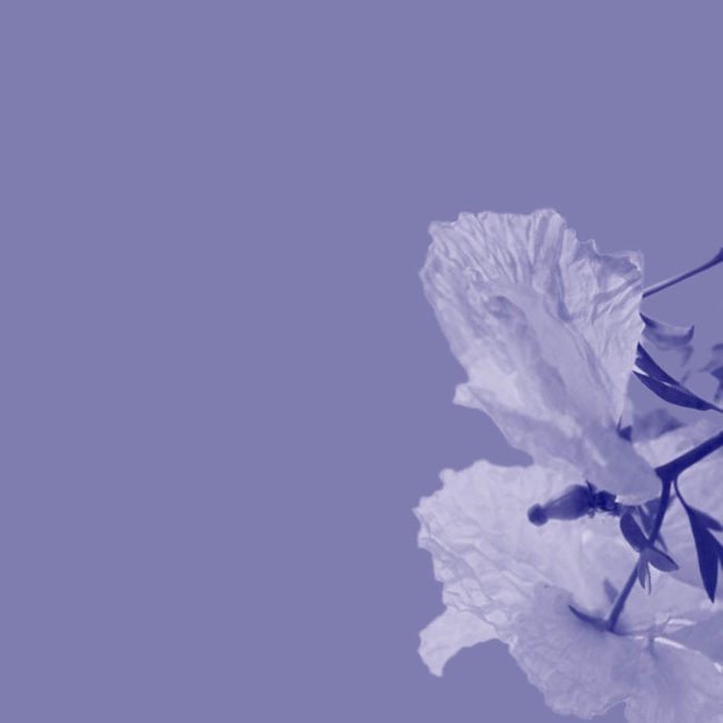 The Neurodivergent Collective