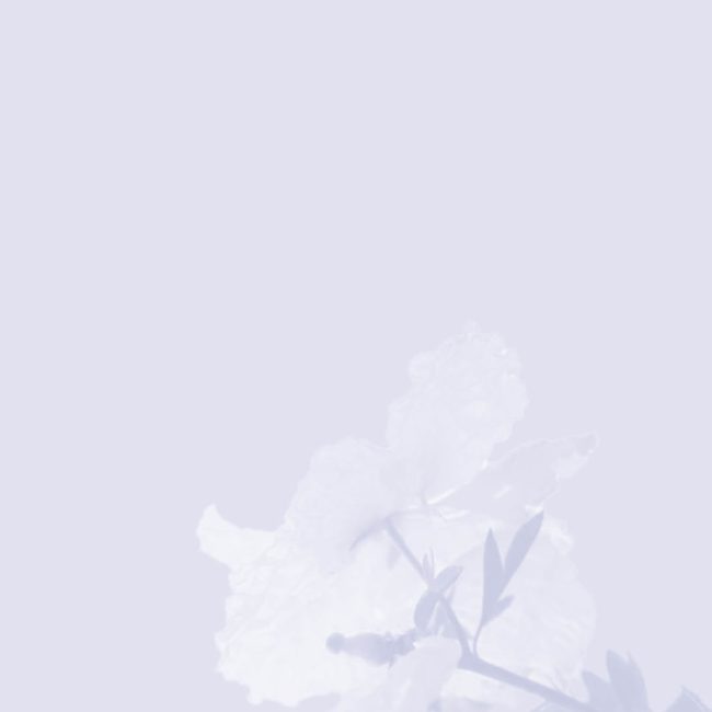 The Neurodivergent Collective